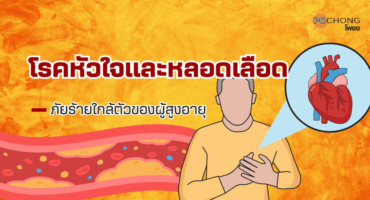 โรคหัวใจและหลอดเลือด: ภัยร้ายใกล้ตัวของผู้สูงอายุ - Pochong เครื่องดื่ม ...