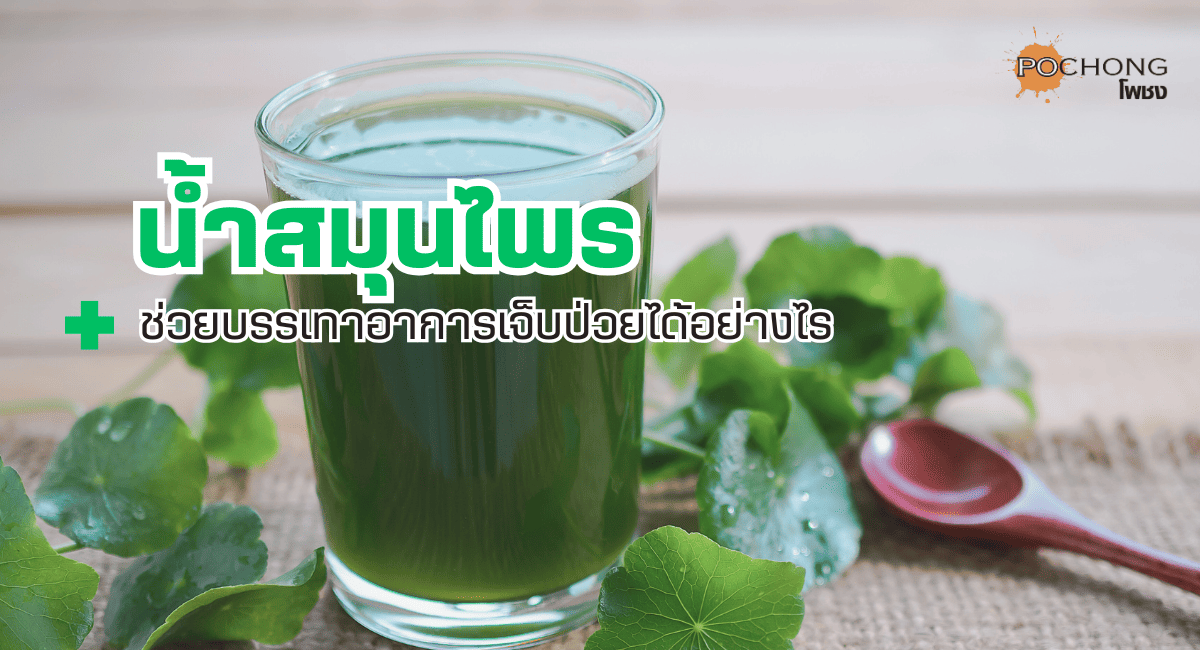 น้ำสมุนไพร : ช่วยบรรเทาอาการเจ็บป่วยได้อย่างไร - Pochong เครื่องดื่มน้ำ ...